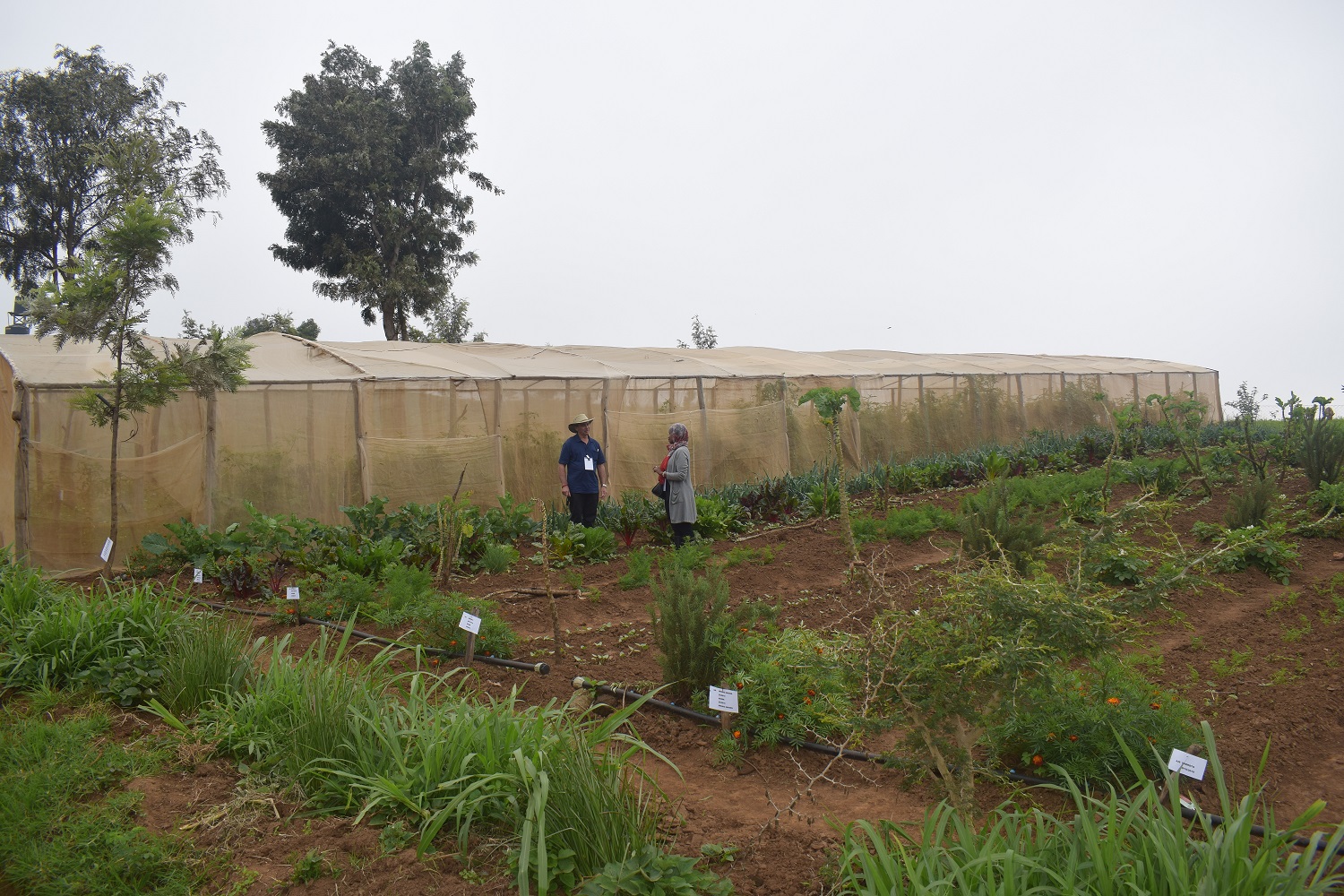articles | The Organic Farmer