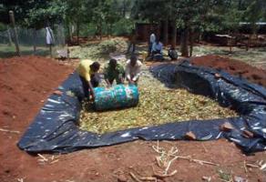 Silage Making | The Organic Farmer