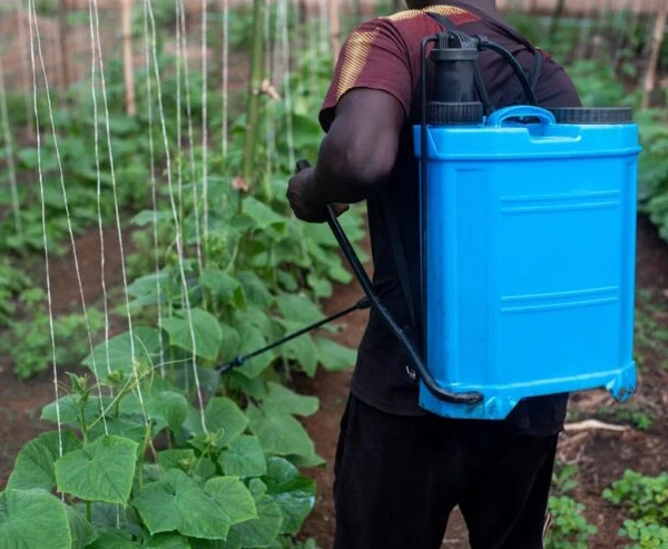 The Government of Kenya Bans 77 highly hazardous pesticides | The ...